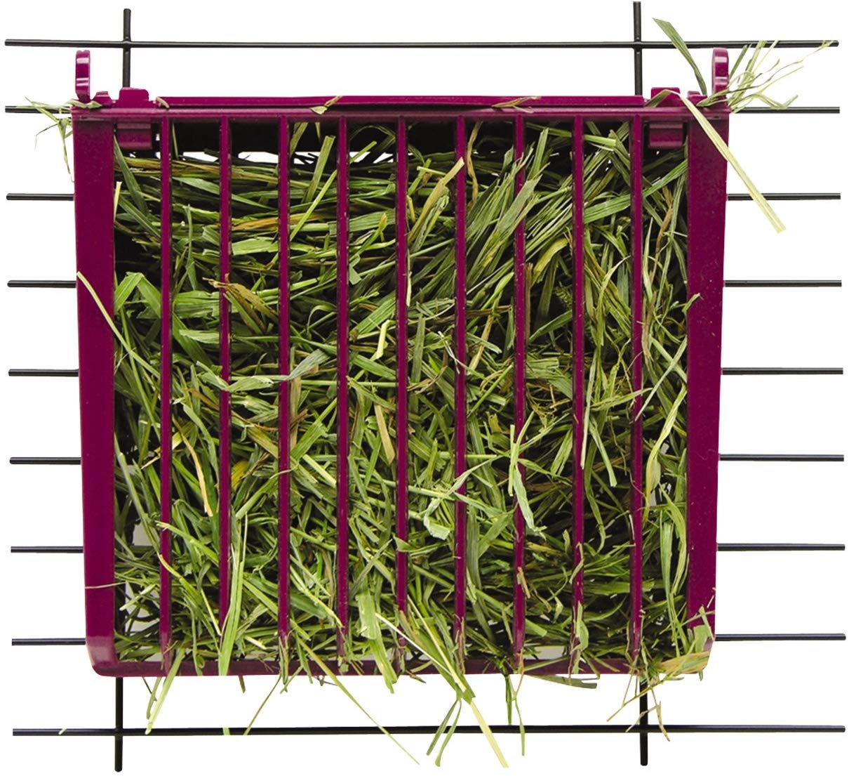 The Best Rabbit Hay Feeders — TheFifty9