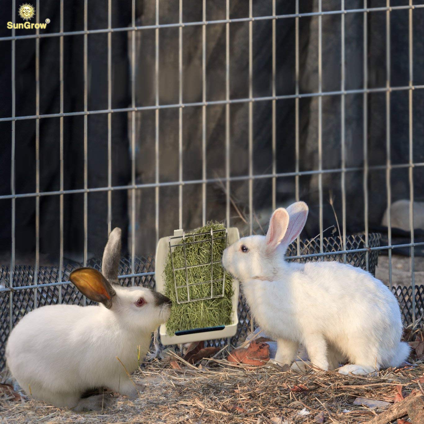 The Best Rabbit Hay Feeders — TheFifty9