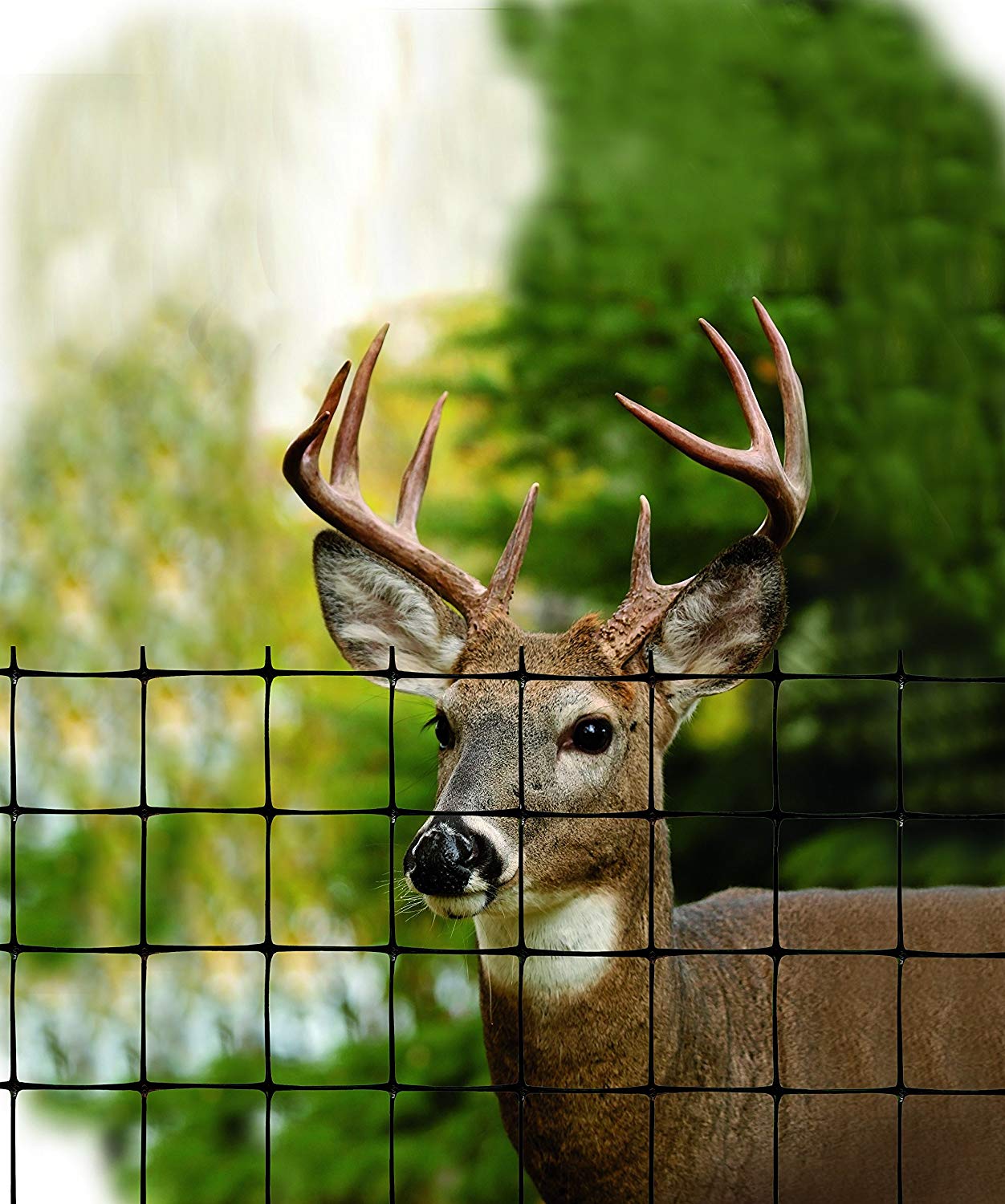 The Best Deer Fences — TheFifty9