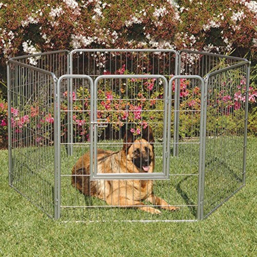 The Best Dog Fences — TheFifty9