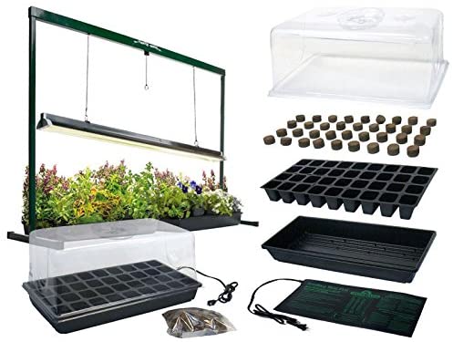 The 5 Best Germination Kits — TheFifty9