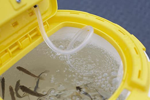 The Best Minnow Buckets — TheFifty9