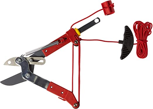 The Best Telescopic Tree Pruners — TheFifty9